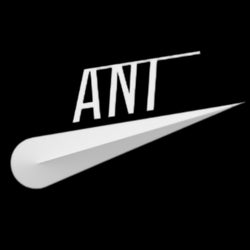 BARCELONA – ANT STORE